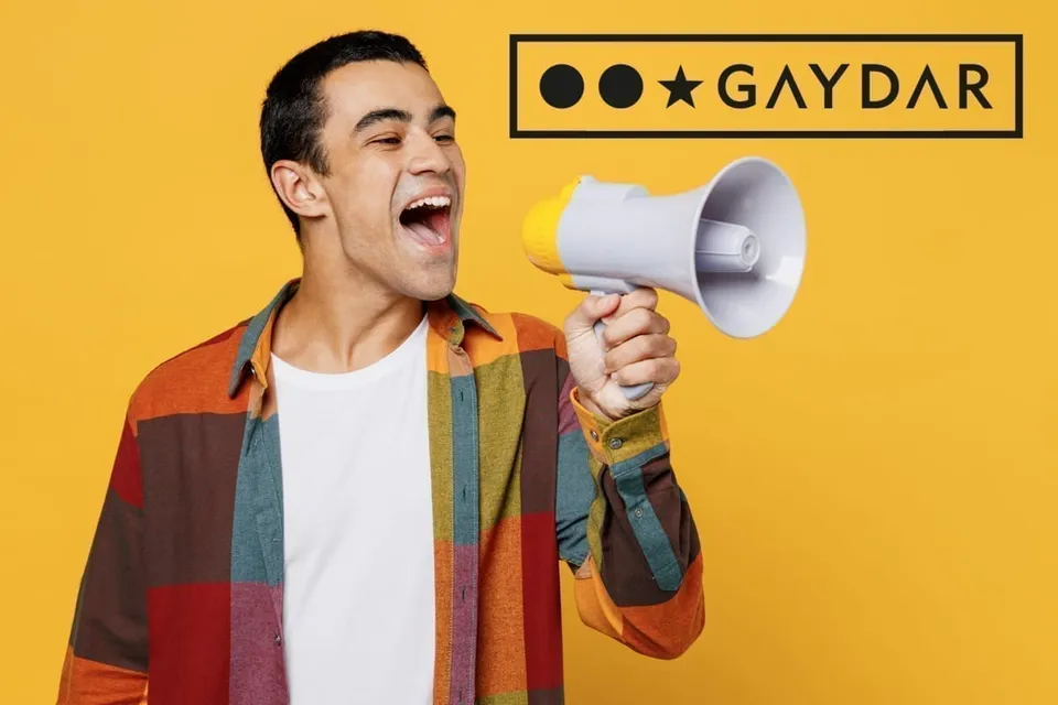 How's Your Gaydar?